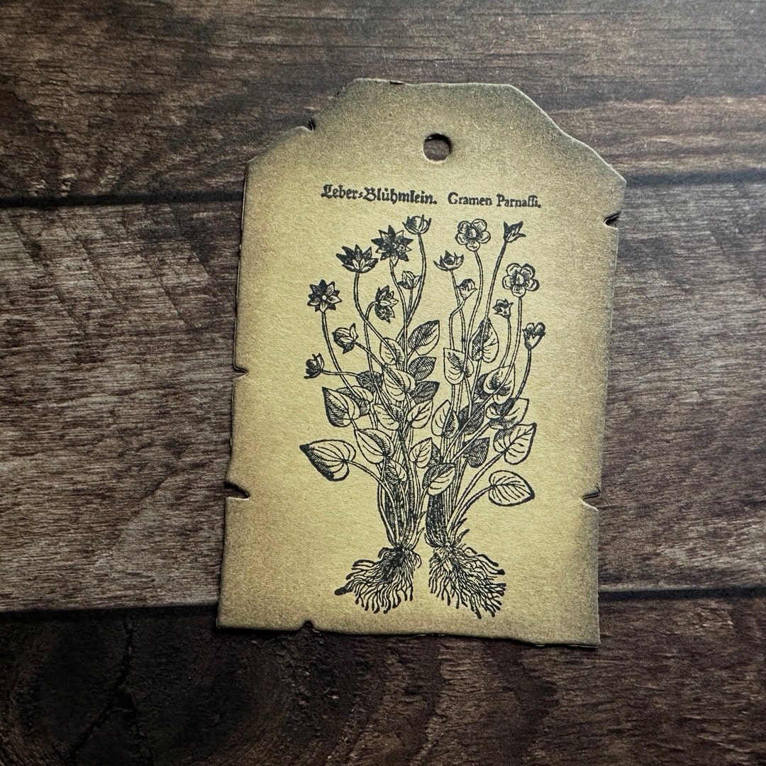 Rubber Stamp Medieval Medicinal Herb - Unmounted Rubber or Cling Stamp ...