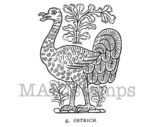 Ostrich Rubber Stamp / Heraldry Stamp / Unmounted Rubber Stamp 150705 ...