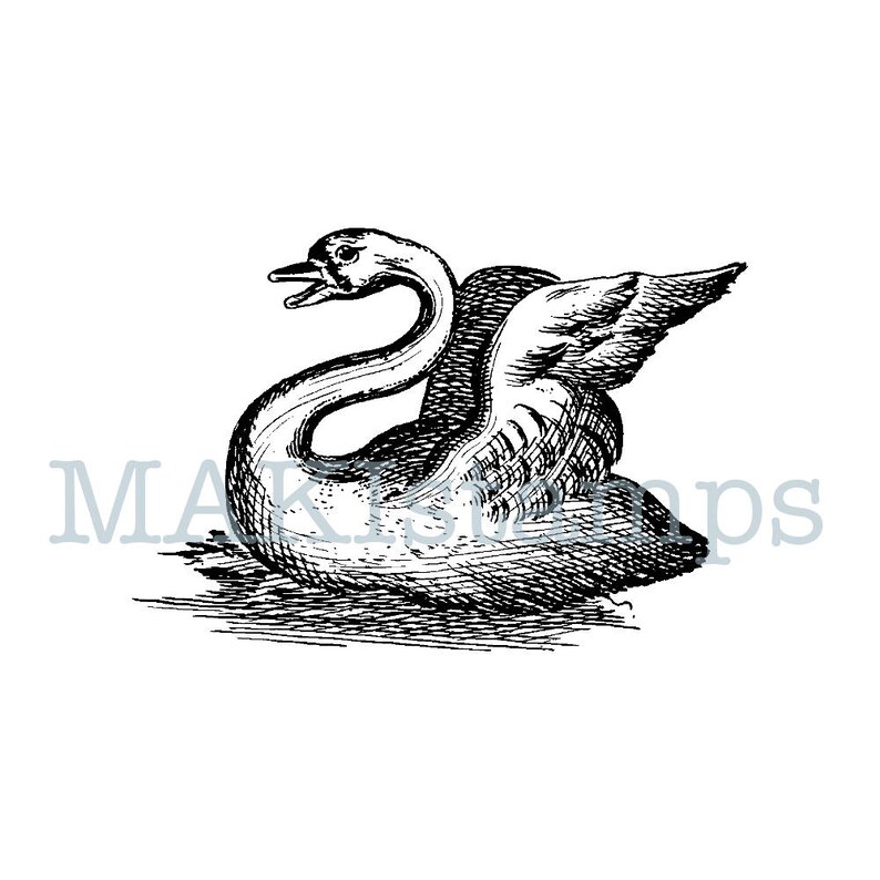 Swan Medieval Woodcut Style Rubber Stamp Unmounted or Cling - Etsy