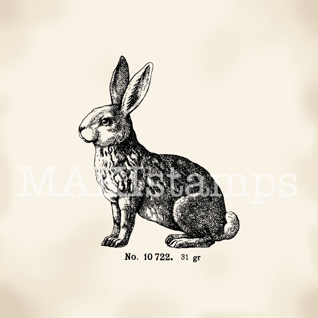 Rabbit Rubber Stamp / Easter Bunny / Hare - Unmounted Rubber Stamp or ...