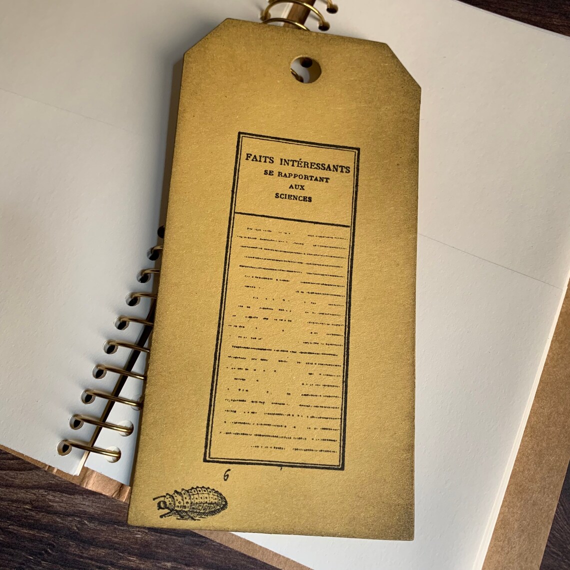 Collage Rubber Stamp Observation Chart / Science Rubber Stamp - Etsy