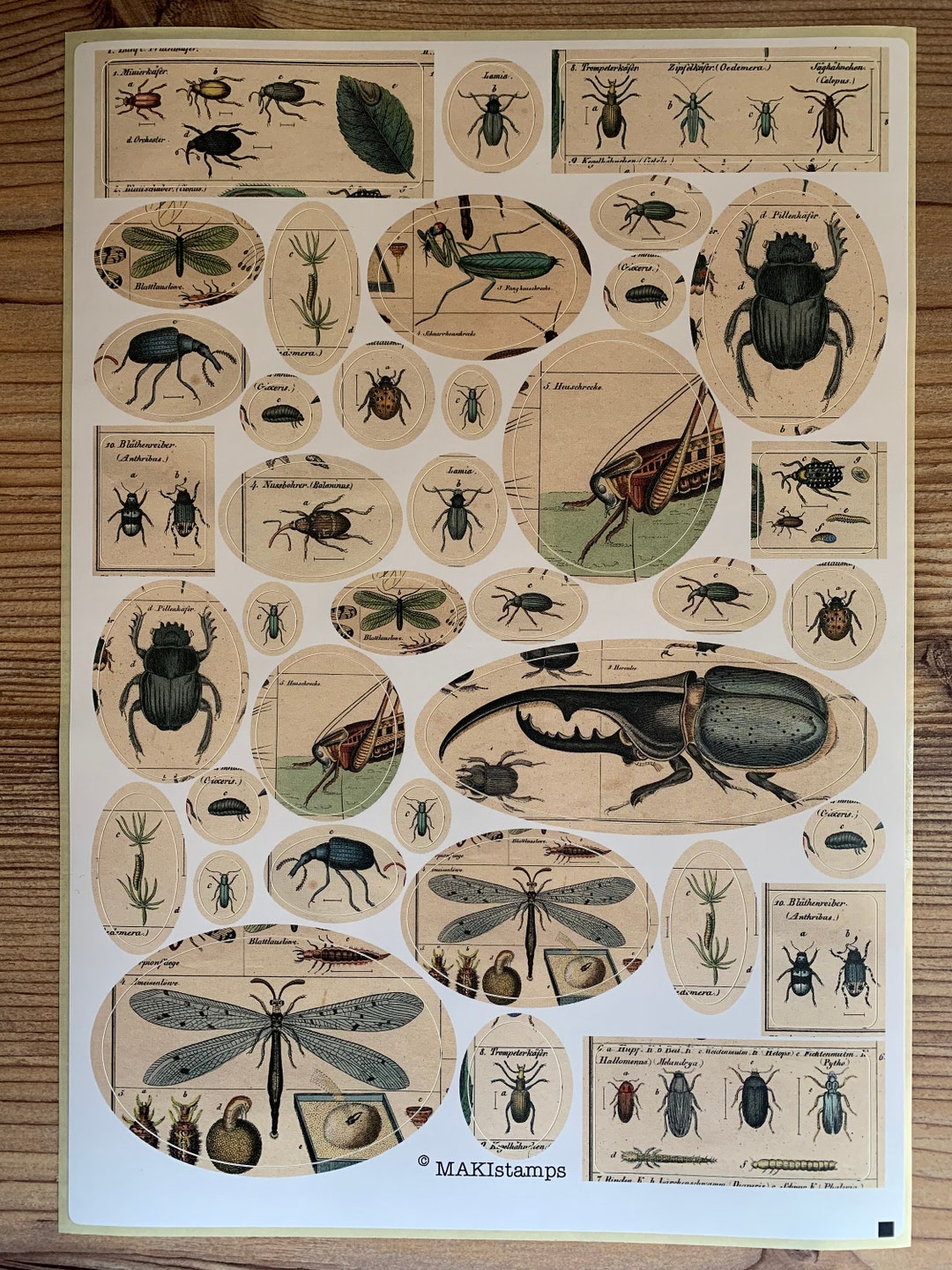 Insects and Bugs Paper Stickers Vintage Style / DIN A 4 Sticker Sheet ...