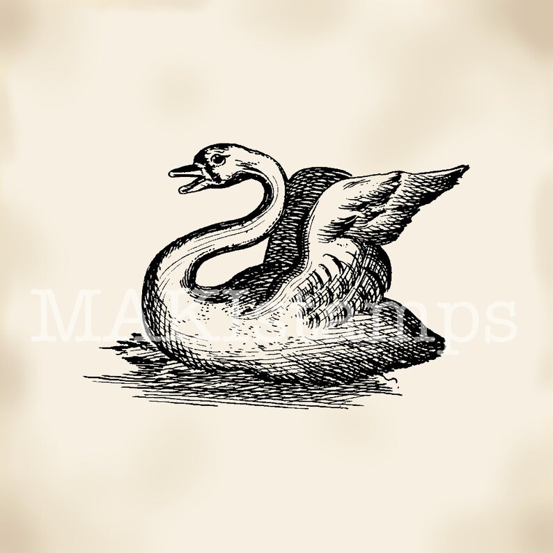 Swan Medieval Woodcut Style Rubber Stamp - Unmounted or Cling Stamp ...