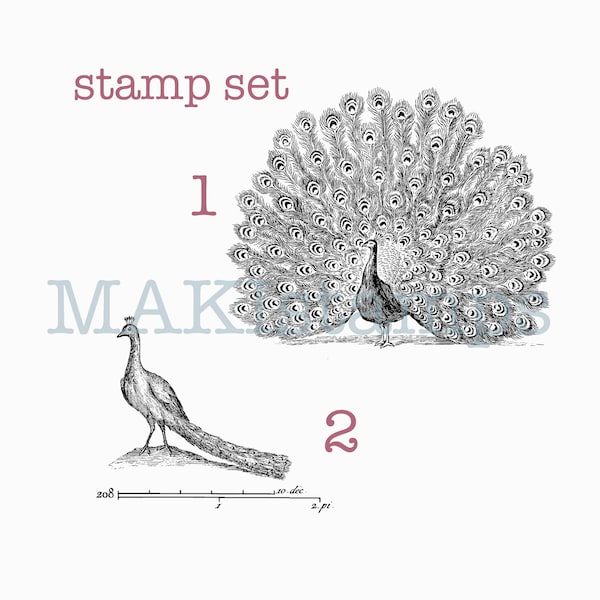 Peacock Rubber Stamp - Etsy