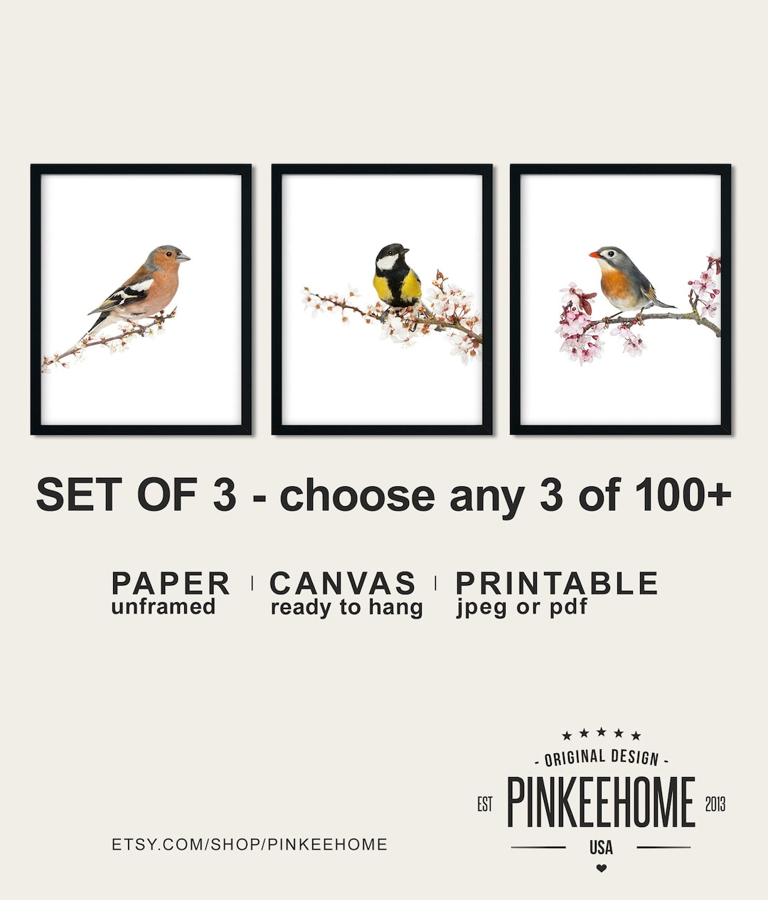 Colorful Bird Prints on Canvas or Paper, Bird Photography Prints, Birds ...