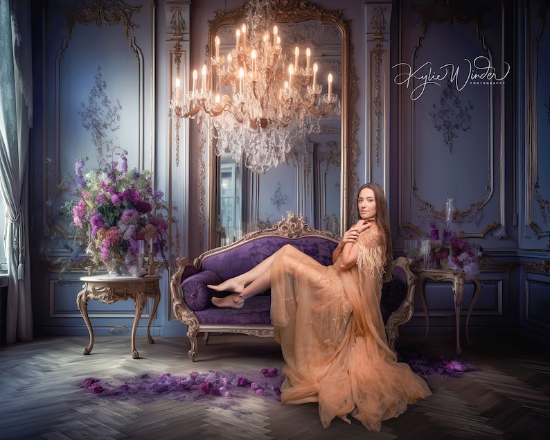 30 Digital Backdrops Portrait Backdrop Beautiful Room - Etsy