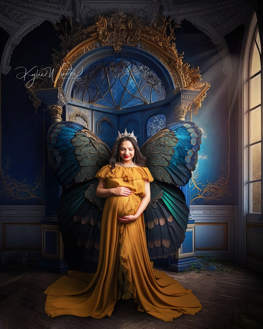 Digital Backdrop With Wings, Wings, Backdrop With Wings Overlay ...