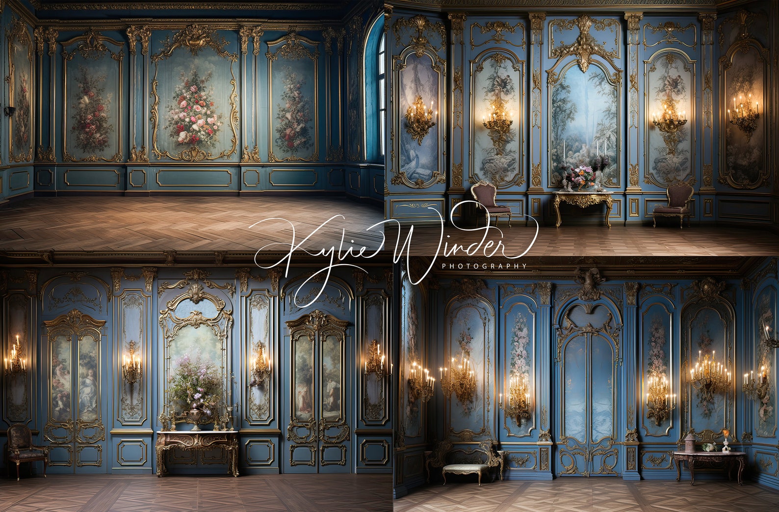 Digital Backdrops, Portrait Backdrop, Beautiful Room Digital Backdrop ...