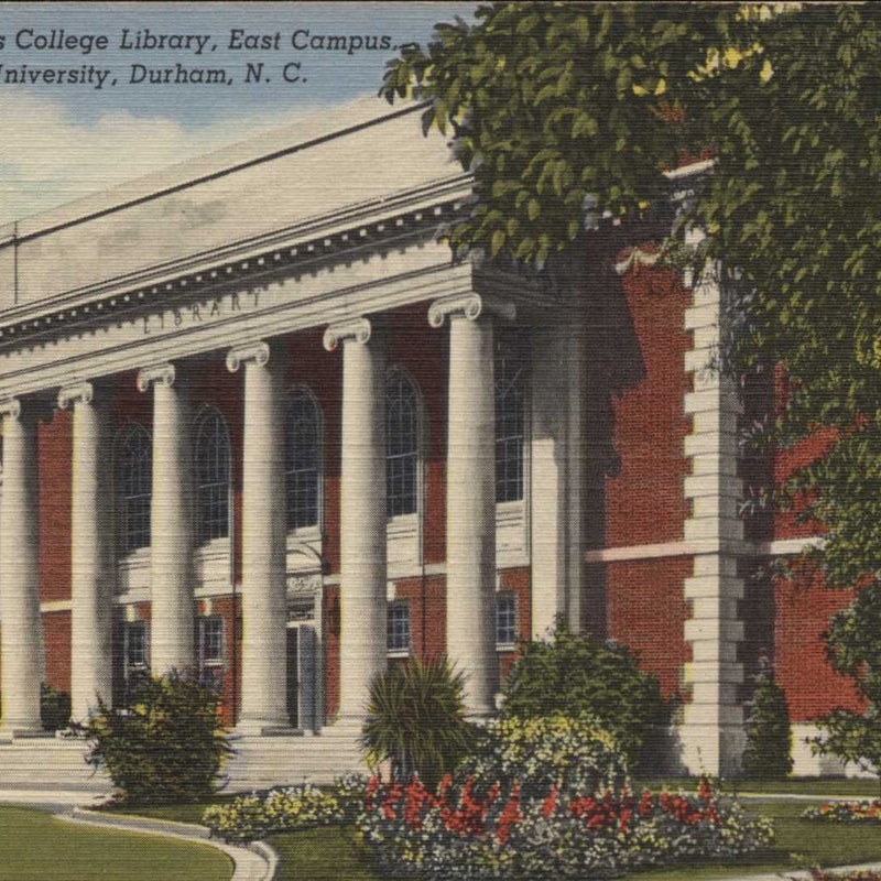 Vintage Duke Postcard - Etsy