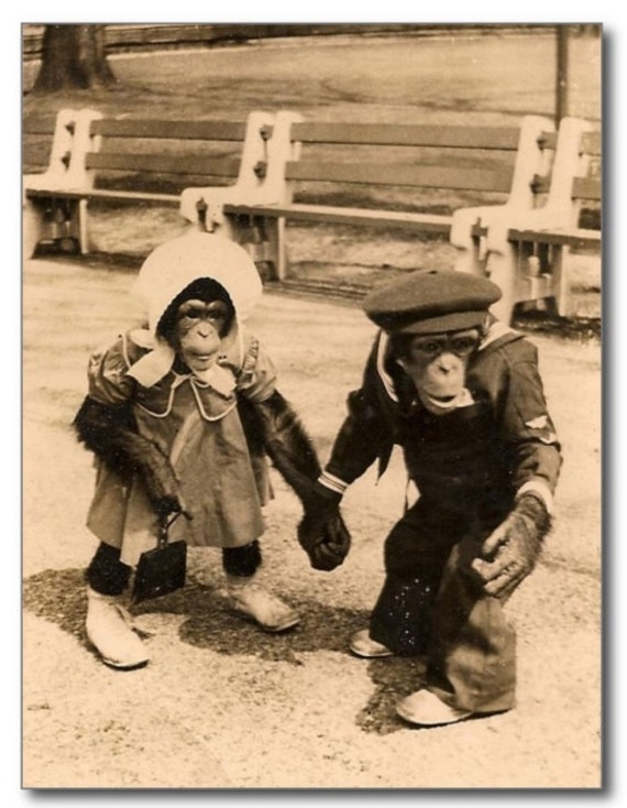 Two Chimps in Love Holding Hands Valentine REPRO Postcard | Etsy