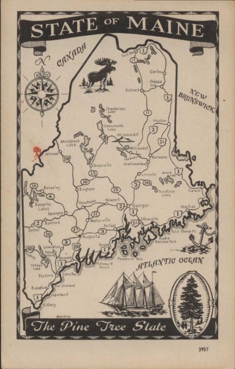 State of Maine the Pine Tree State 1950s State Map | Etsy