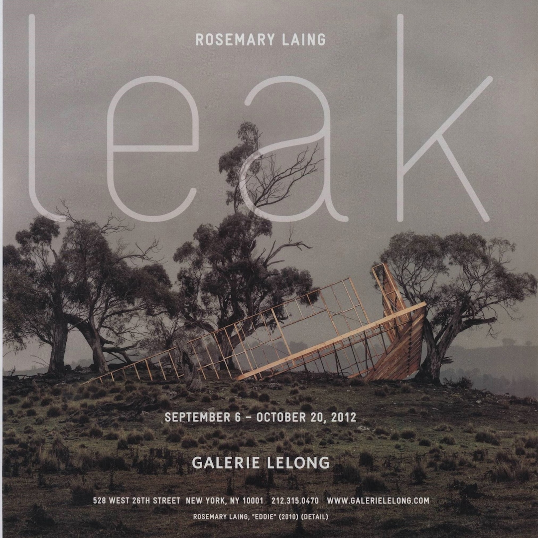 Rosemary Laing, Leak Eddie, Galerie Lelong, New York, Gallery ...
