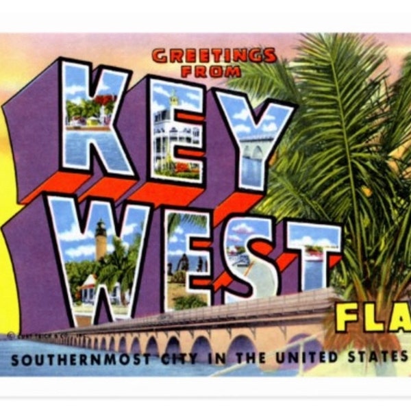 Florida Postcard - Etsy