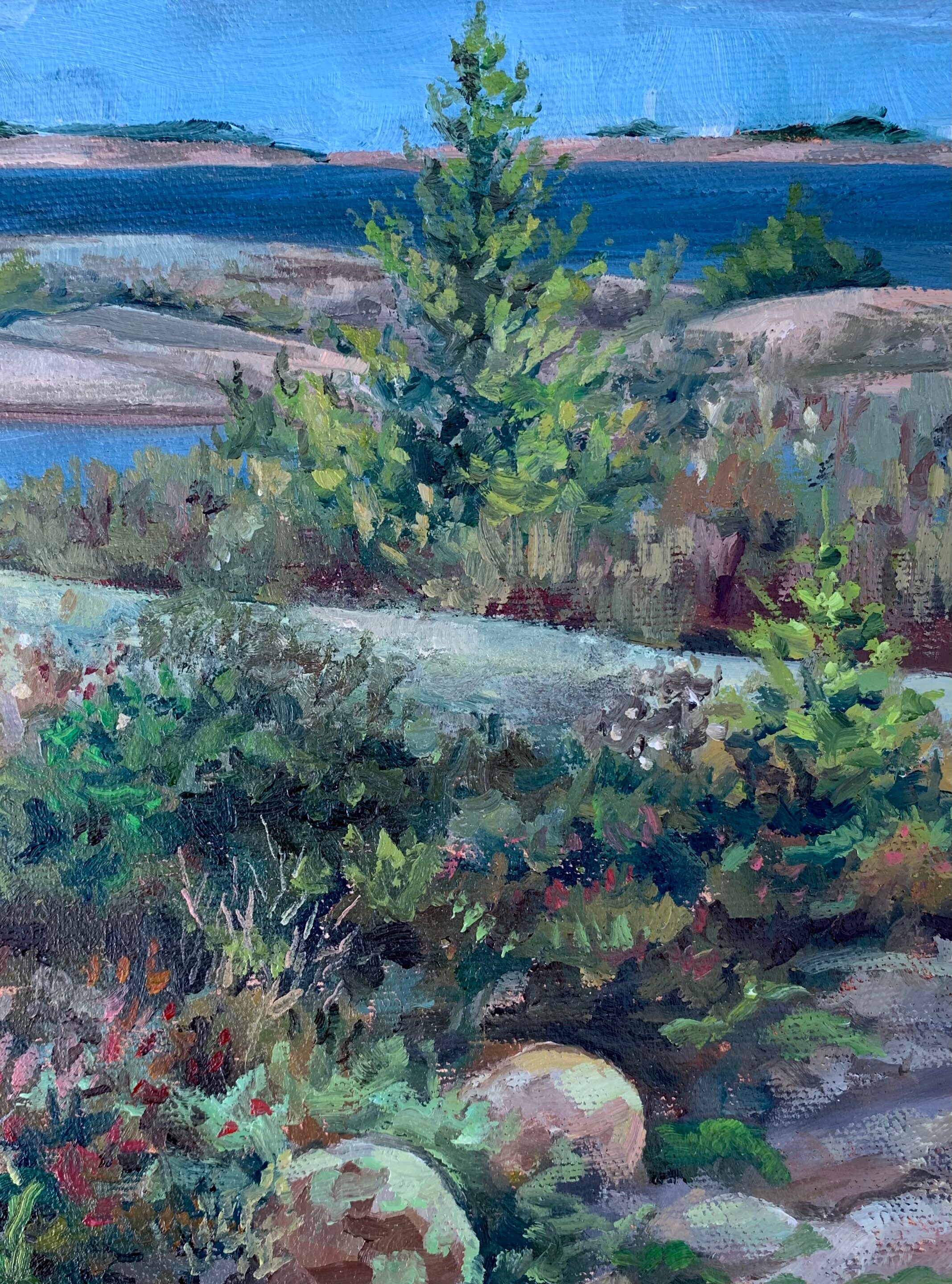 Georgian Bay Landscape, Canada, Original Oil Painting, Oil on Panel ...