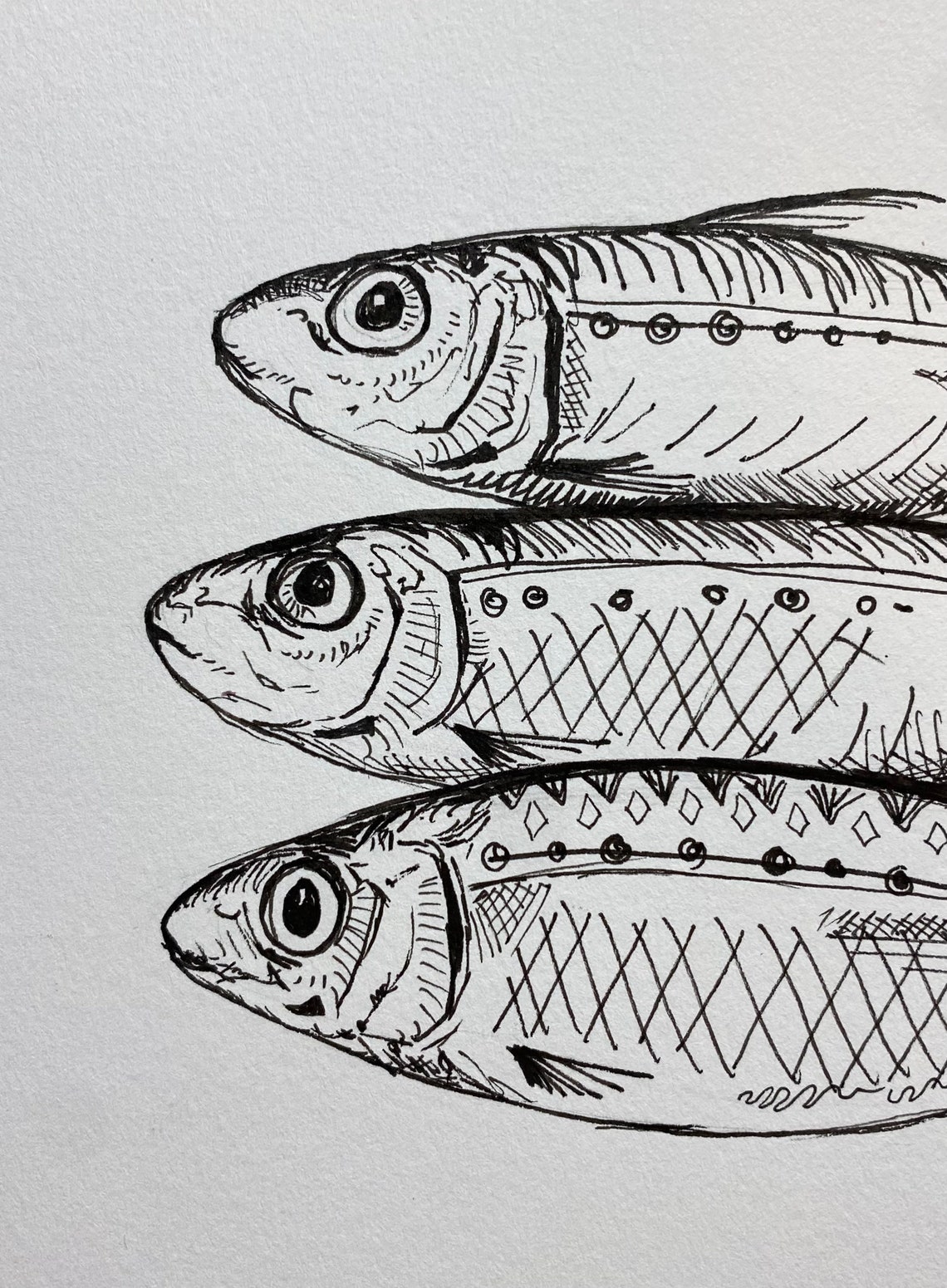 Original Sardines Hand Drawn Ink Drawing, Small Fish Still Life ...