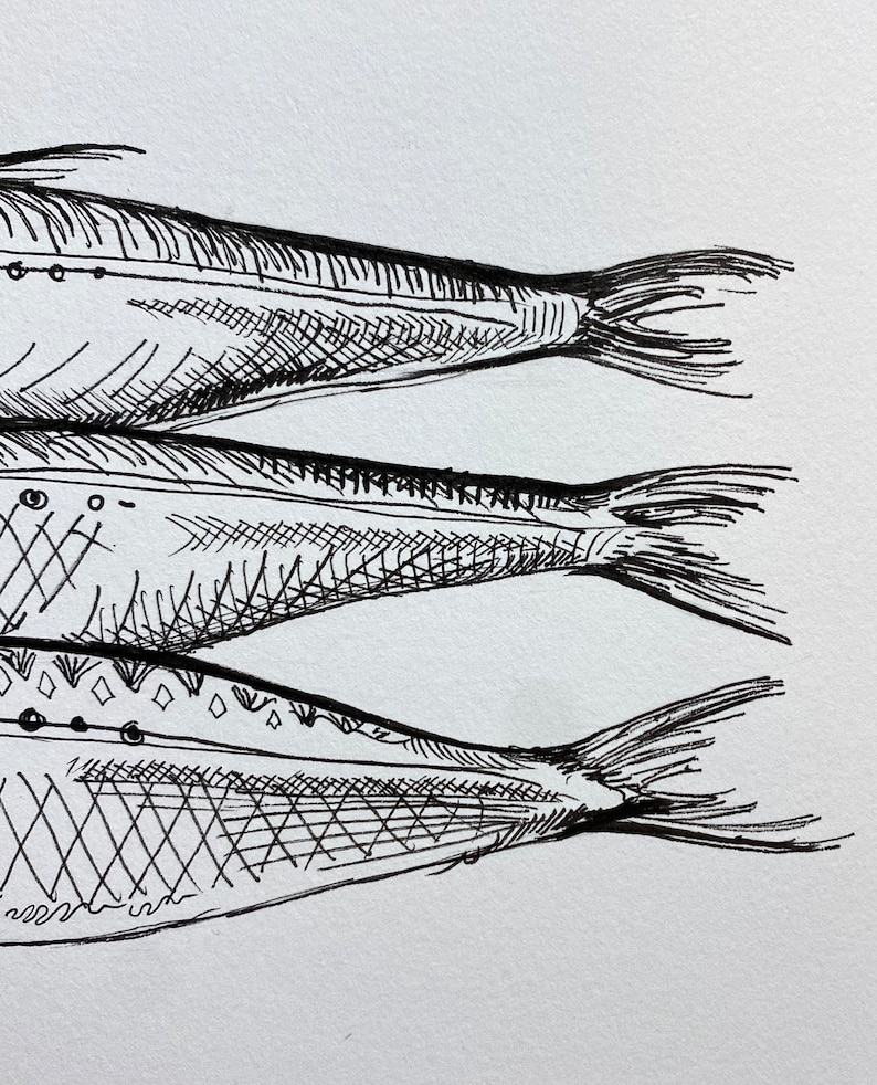 Original Sardines Hand Drawn Ink Drawing Small Fish Still - Etsy