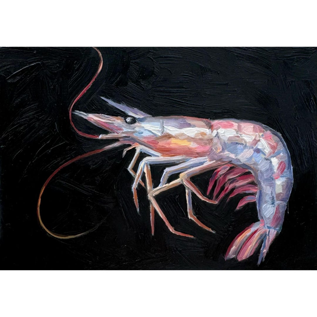 Small Shrimp Painting 5x7, Original Painting Black Background, Small ...