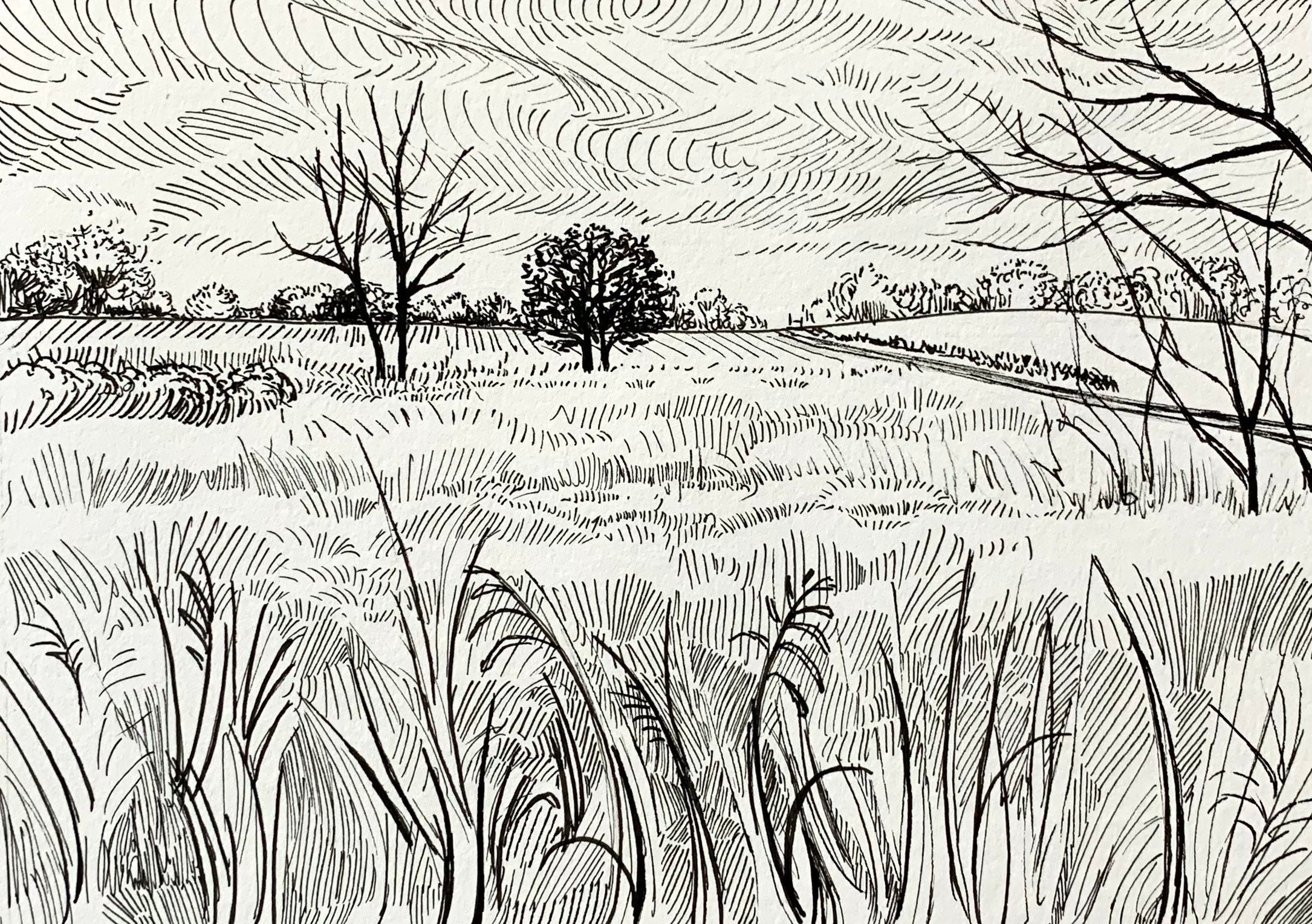 Grass Field Drawing