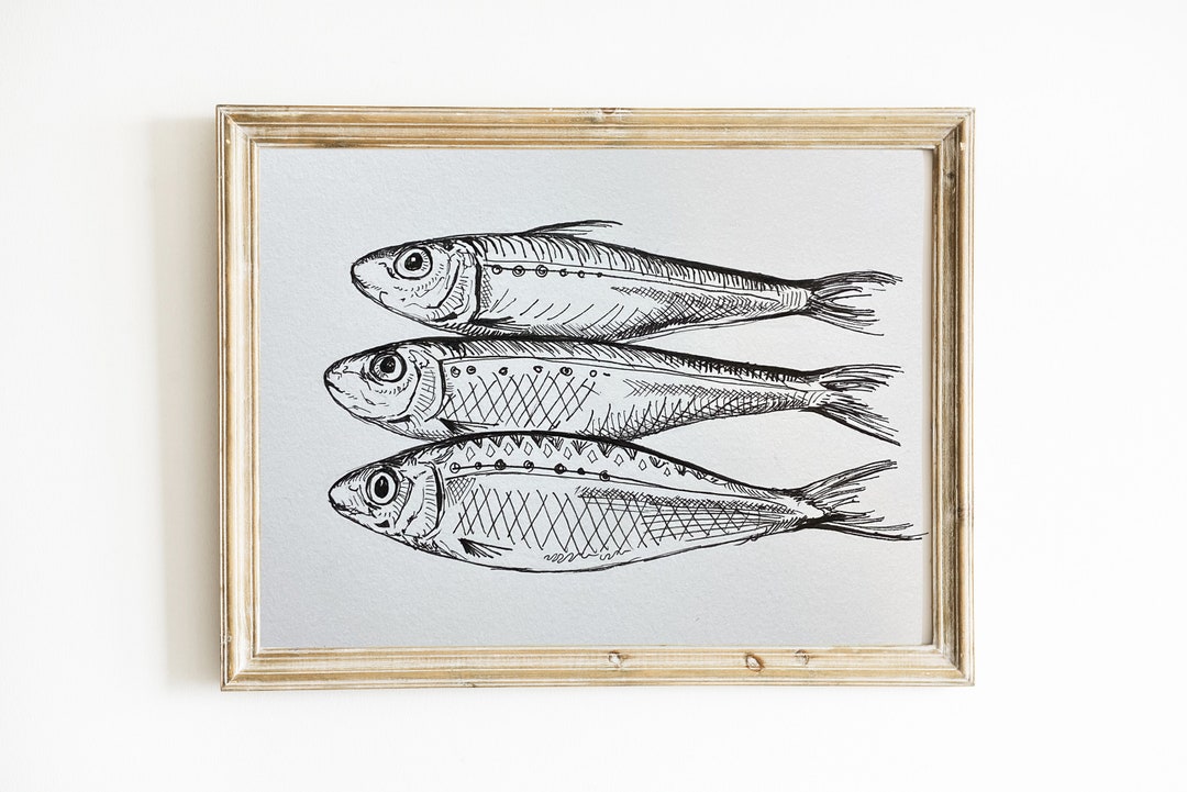 Original Sardines Hand Drawn Ink Drawing, Small Fish Still Life ...