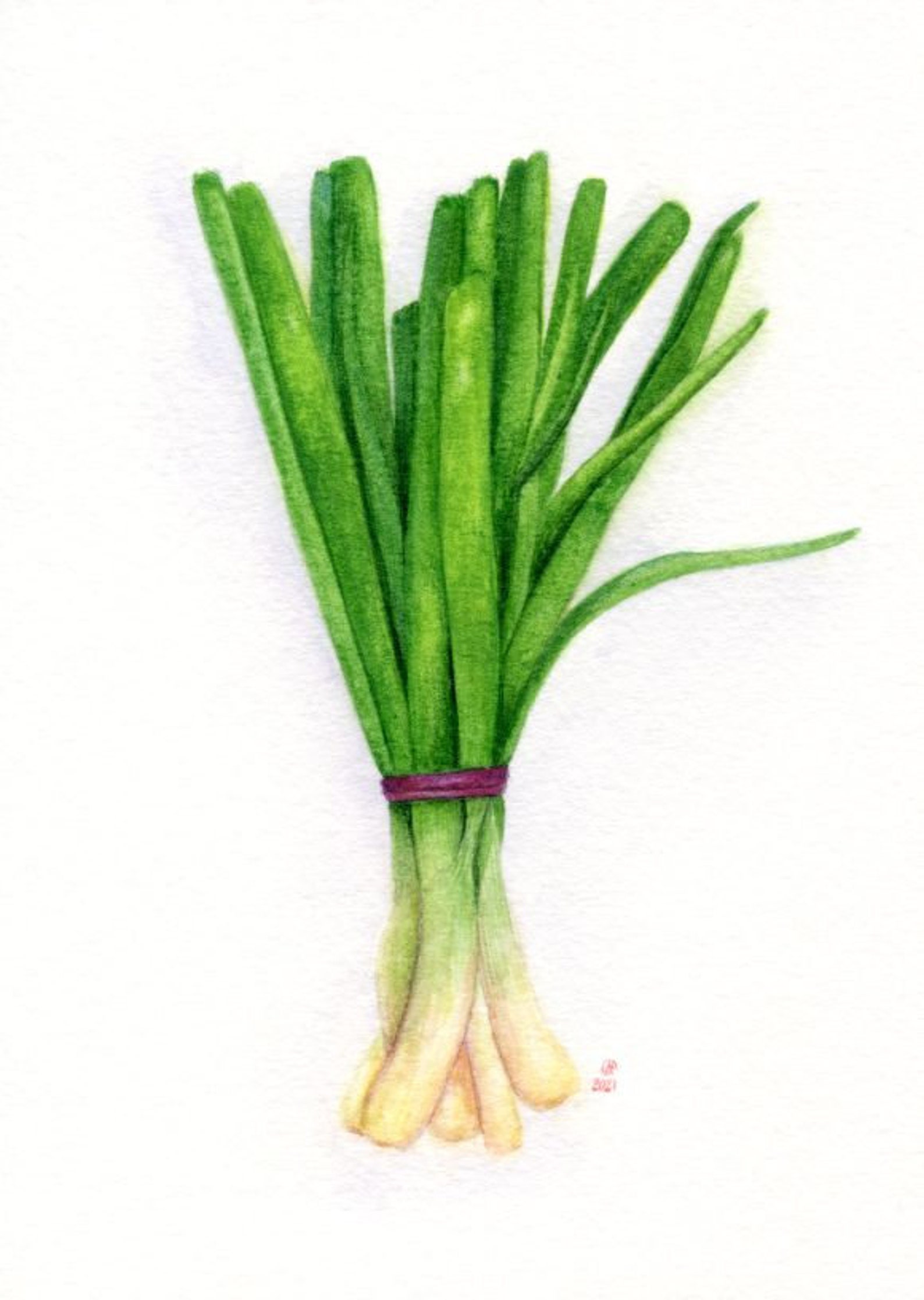 Spring Onion ORIGINAL Painting Small Veg Illustration | Etsy