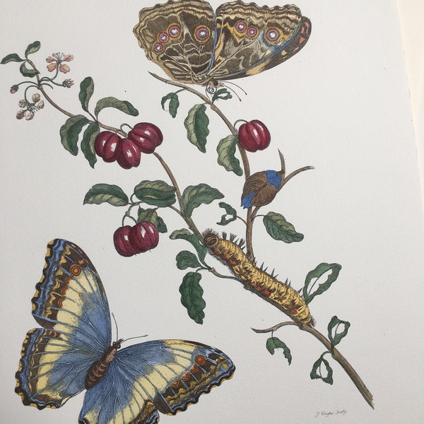 Lithograph Wall Art - Etsy