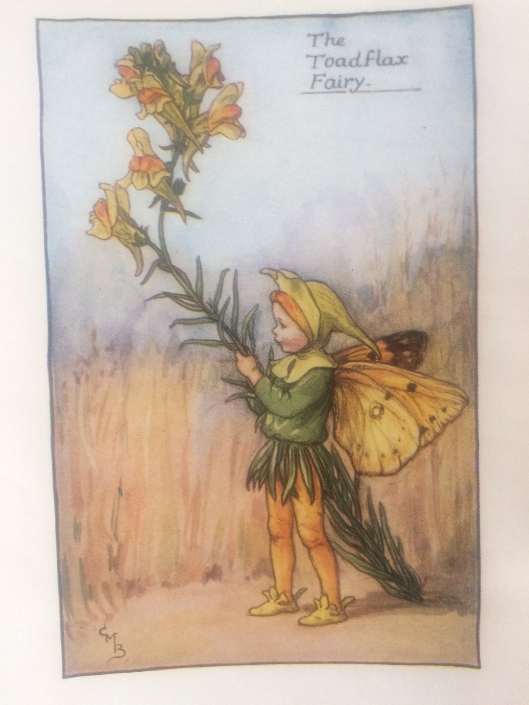 The Toad Flax Fairy - Etsy
