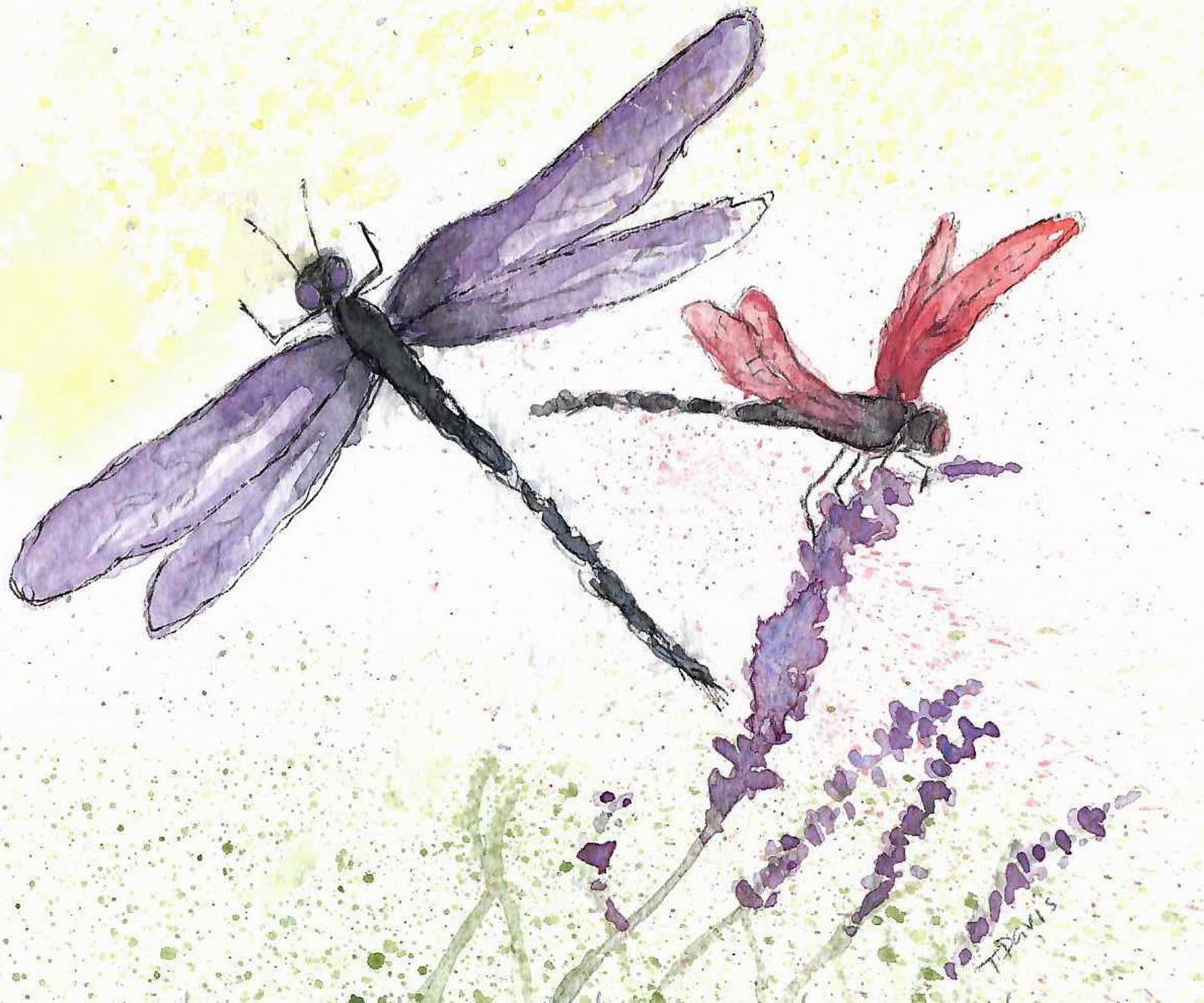 Dragonflies, Dragonfly Art, Greeting Card, Note Card, Watercolor, Blank ...