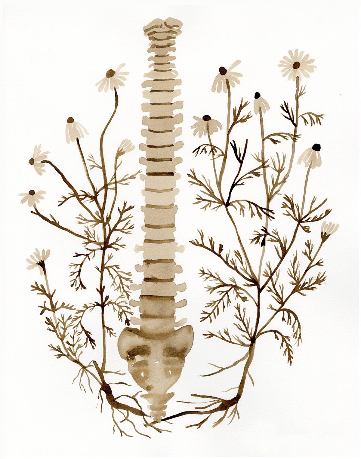 Root Work Series - Ancestral Plants - Walnut Ink - 11” X 14” Giclee ...