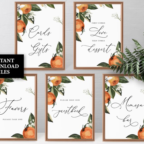 Orange Signs Bundle Citrus Wedding Signs Decor Cutie Baby | Etsy