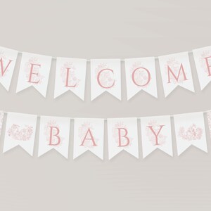Pink Toile Baby Shower Welcome Sign, Girl Chinoiserie Decor (digital ...