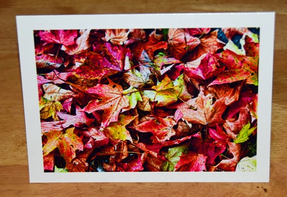 Autumn Leaves Cardfallen Leavesetsy Findphoto Cardcolorful | Etsy