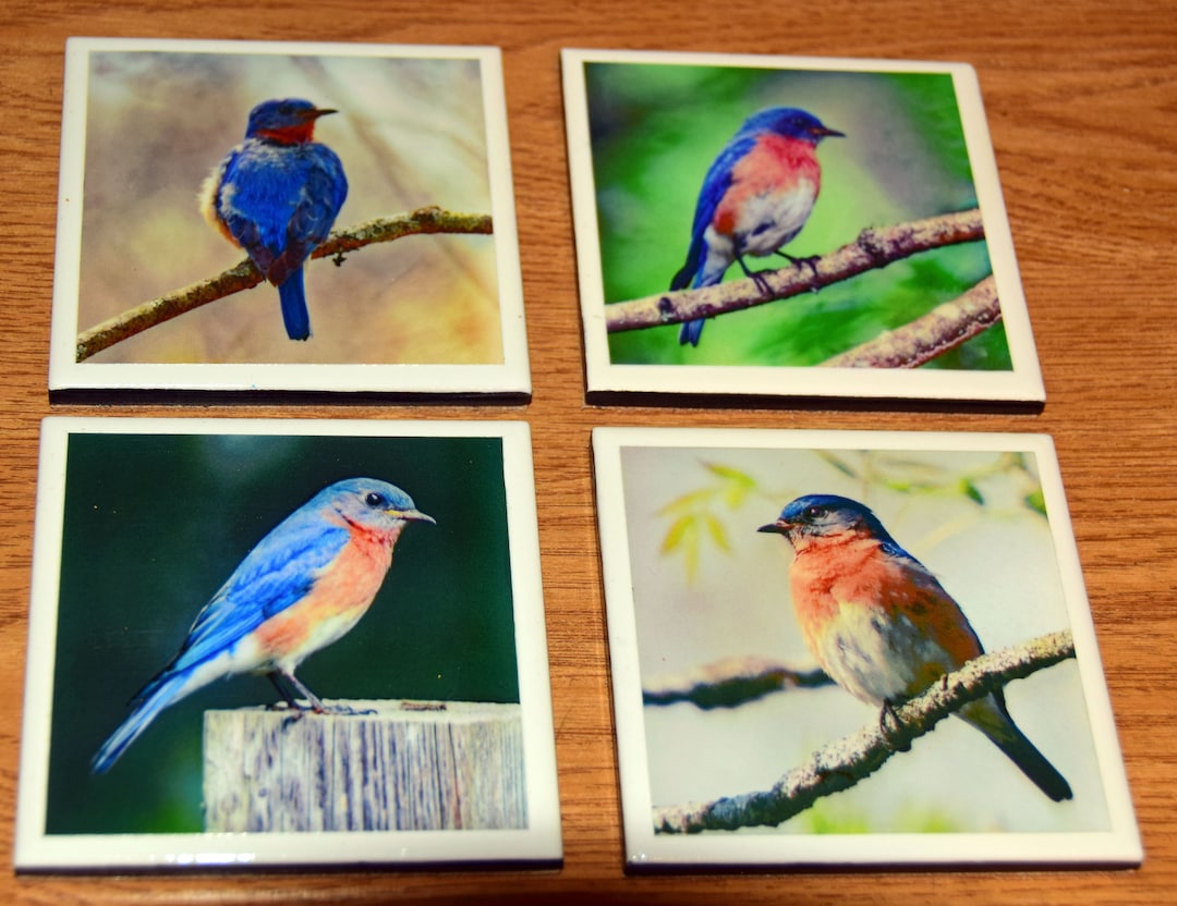Ceramic Tile Bluebird Coasters!! Set of 4 - Etsy