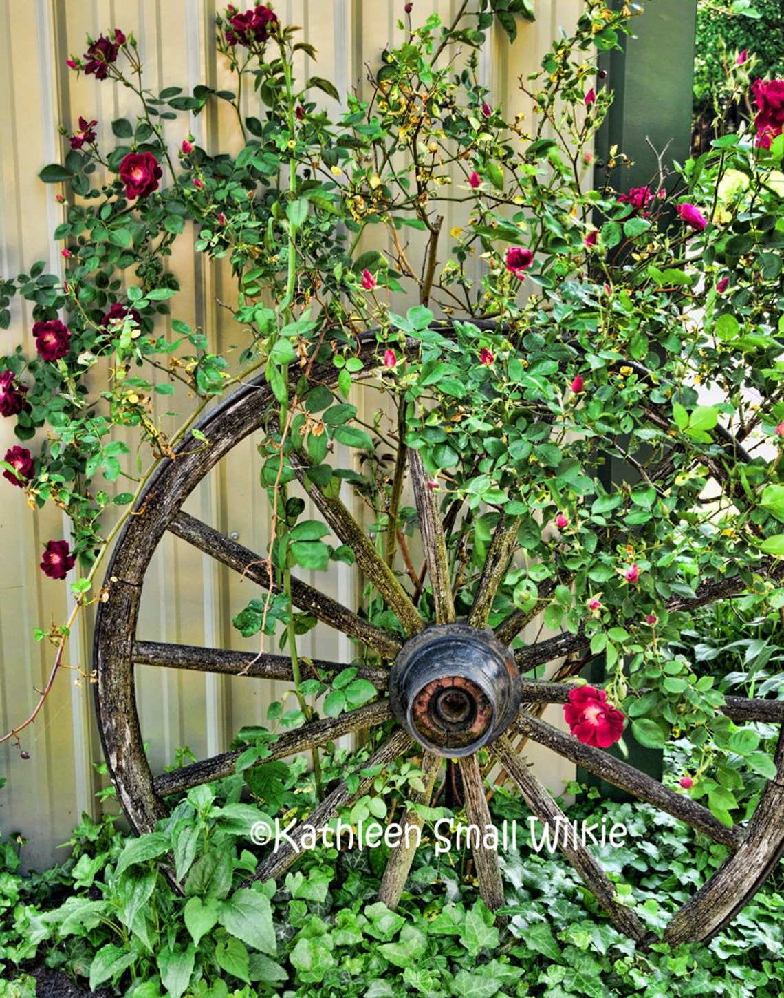 Antique Wagon Wheel,rustic Wagon Wheel,old Wagon Wheel,wood Wagon Wheel ...