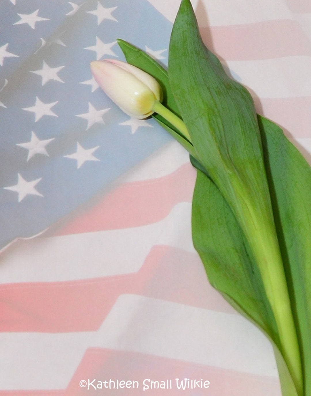 Tulip W/flag,floral Photography,pink Flower,trending Item,unique Gift ...