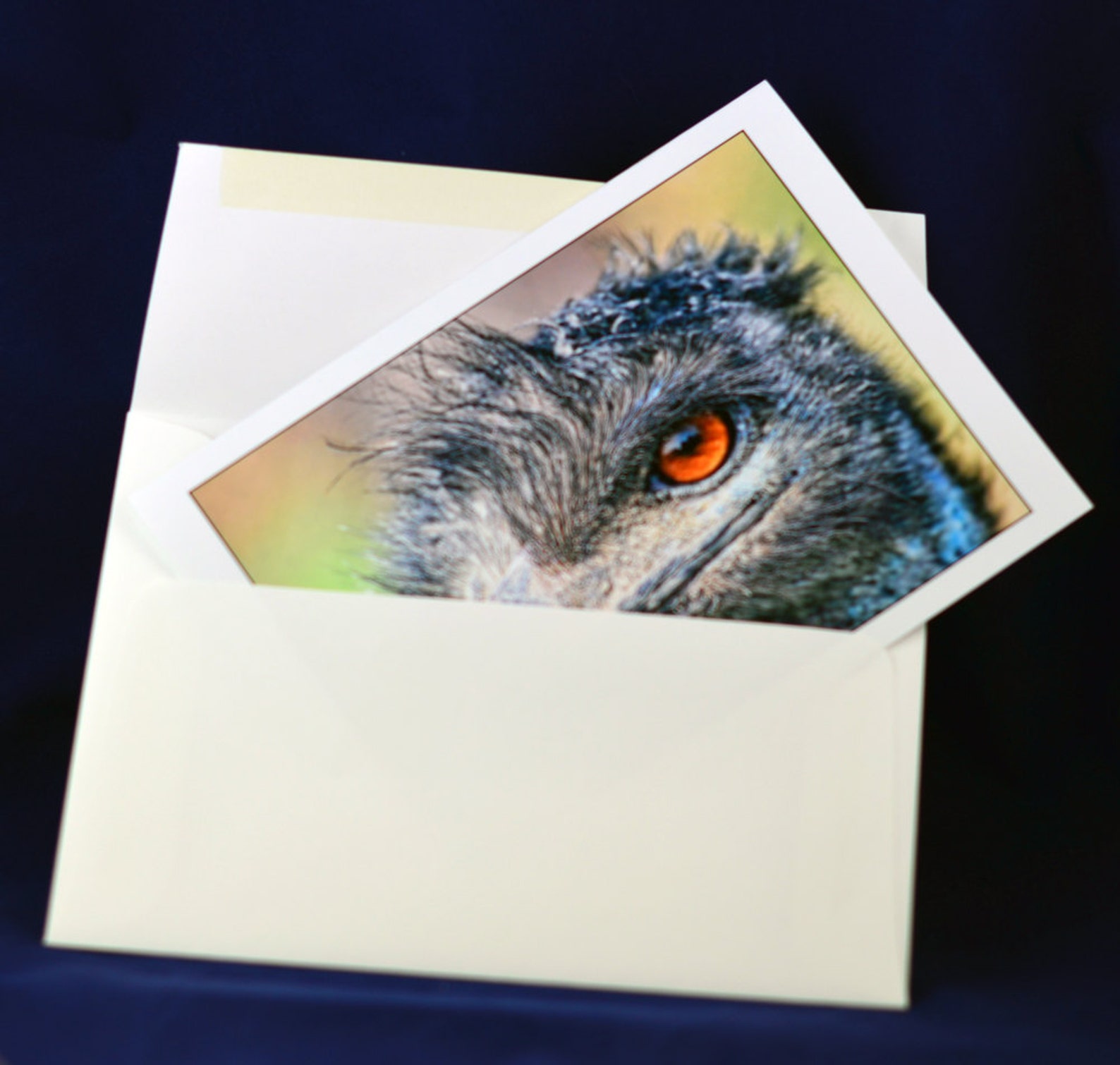 Emu Greeting Card,funny Greeting Card,unique Card,etsy Find,humorous ...