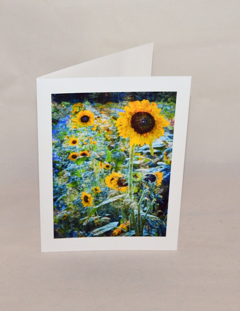 Sunflower Field,blank Notecard,unique Card,all Occasion Card,etsy Find ...