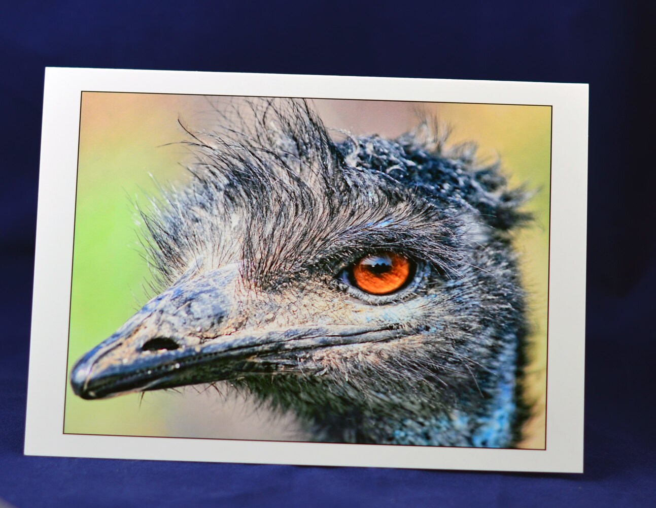Emu Greeting Card,funny Greeting Card,unique Card,etsy Find,humorous ...