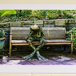 Frog on Bench - Etsy