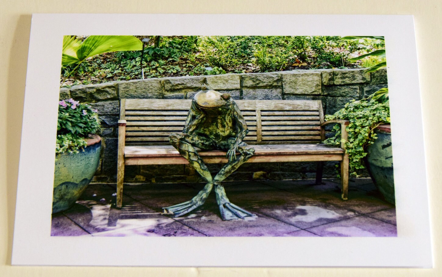 Frog on Bench - Etsy