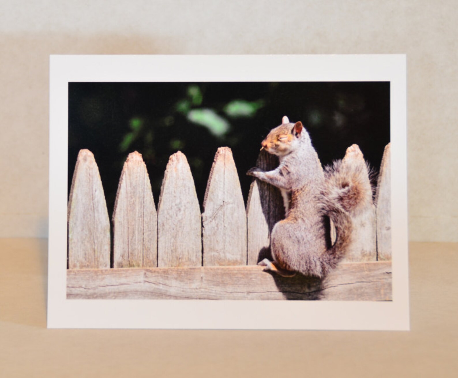 Squirrel Greeting Card,funny Greeting Card,unique Card,etsy Find ...