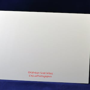 Emu Greeting Card,funny Greeting Card,unique Card,etsy Find,humorous ...