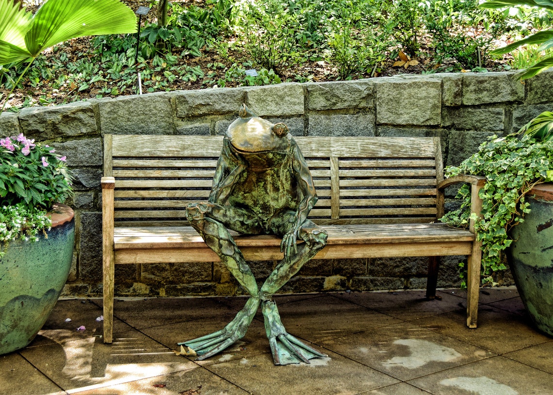 Frog on Bench - Etsy
