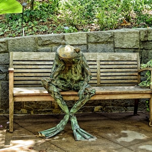 Frog on Bench - Etsy