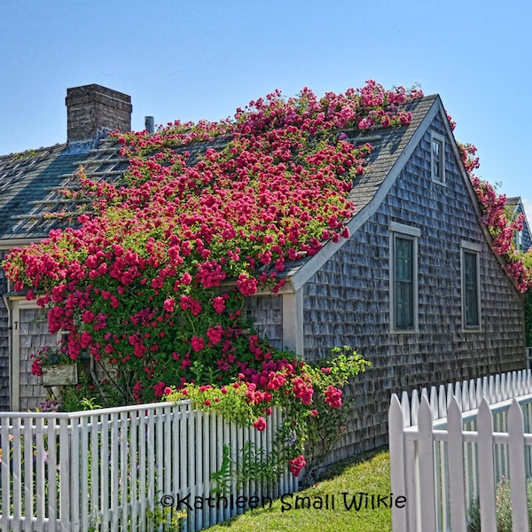 Nantucket Cottage - Etsy