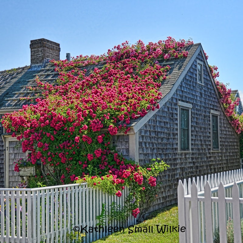 Nantucket Cottage - Etsy