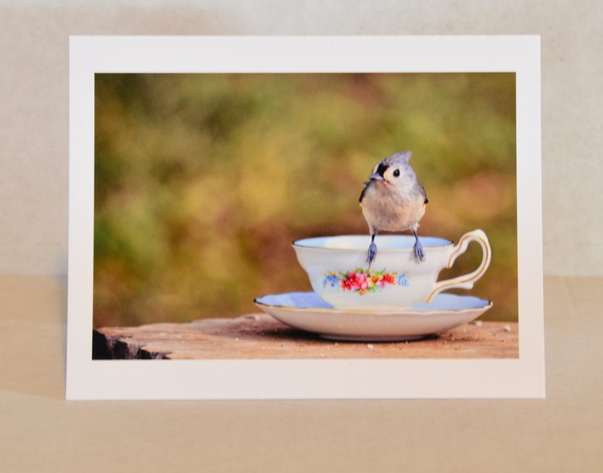 Titmouse Greeting Card,funny Greeting Card,unique Card,etsy Find ...
