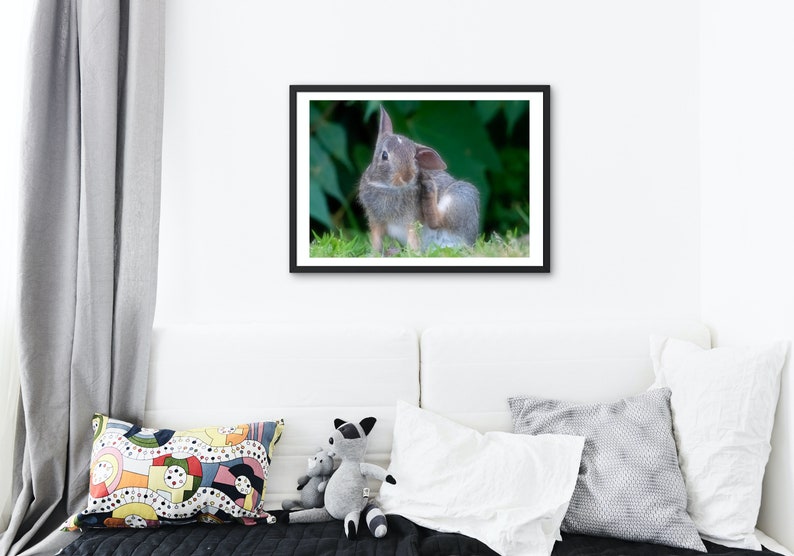 Itchy Baby Bunny Cute Baby Animals Nursery Art Unique Gift - Etsy