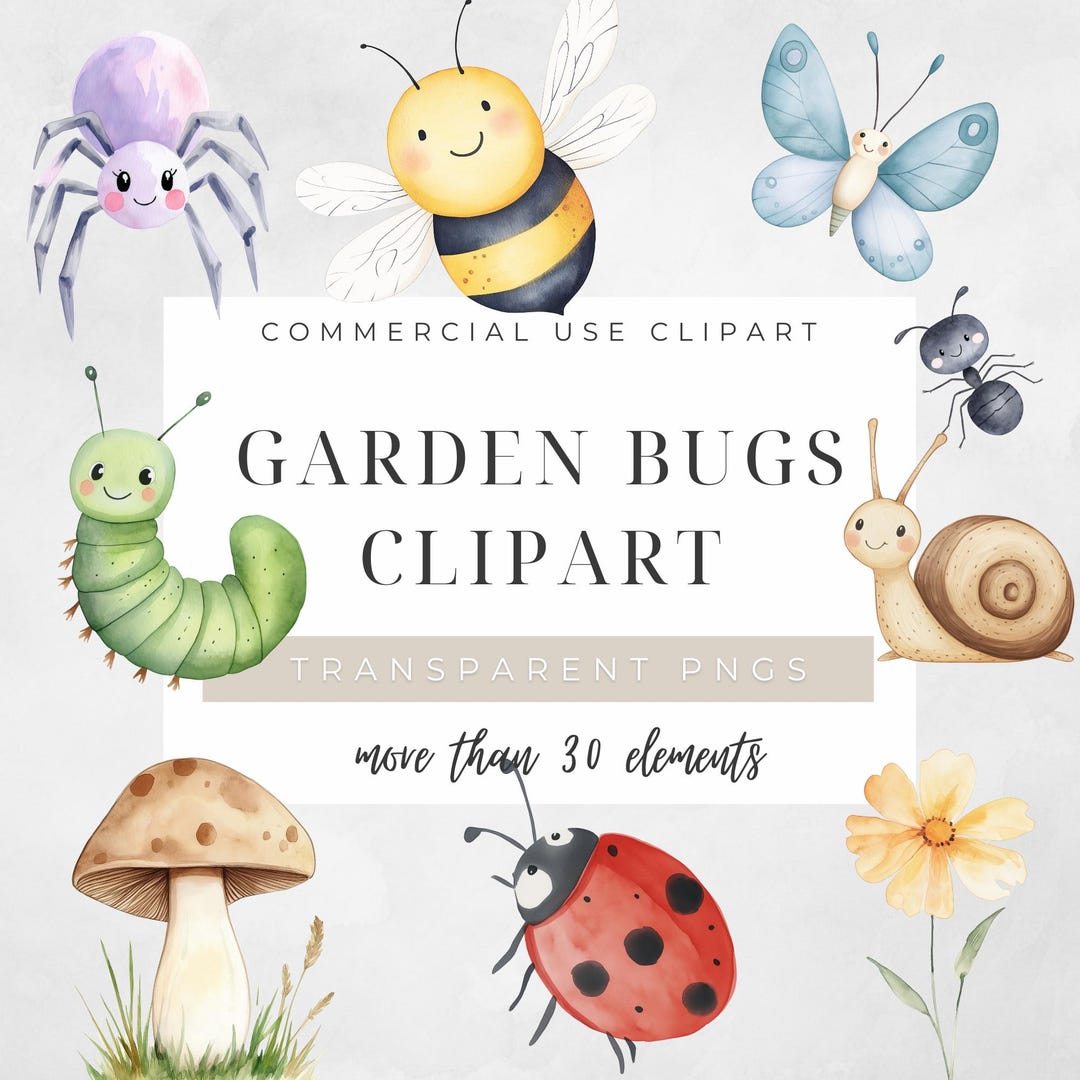 Watercolor Garden Bugs Clipart: Spring Insects PNG Bundle (commercial ...