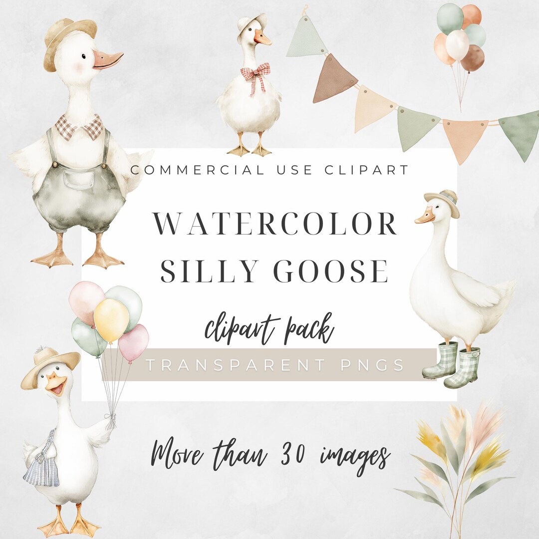 Watercolor Silly Goose Clipart: Farm Animal Pngs (digital Download) - Etsy