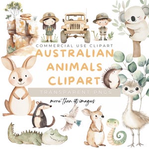 Australian Animals Clipart, Watercolor Aussie Wildlife Theme PNG ...